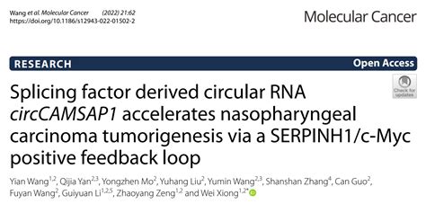 Molecular Cancer 环状RNA促进鼻咽癌恶性进展新机制 美必思医学编译
