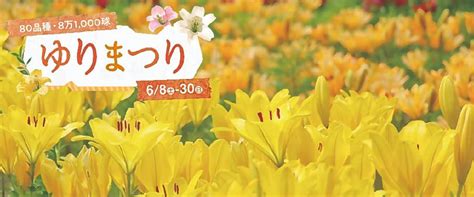 ゆりまつり とっとり花回廊