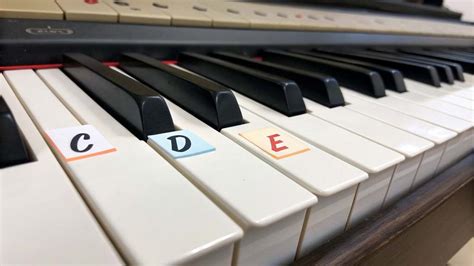 How To Label Piano Keys A Complete Guide For Beginners Music City Eats