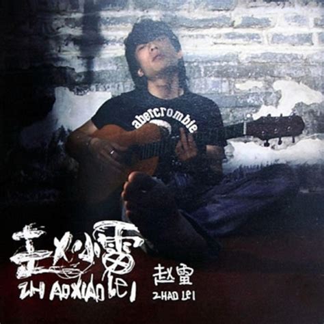 赵雷 Hi Res中文网