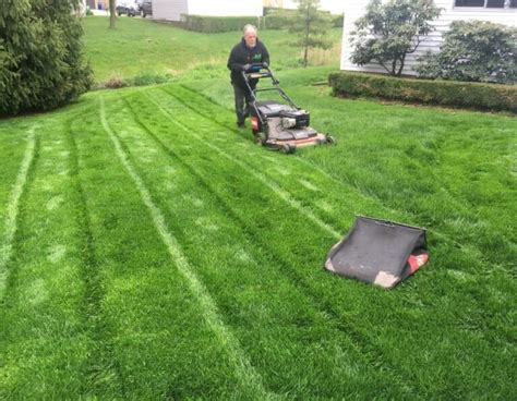 5 Star Lawn Care In Roseville Mi Stumpfs Outdoor Services Llc
