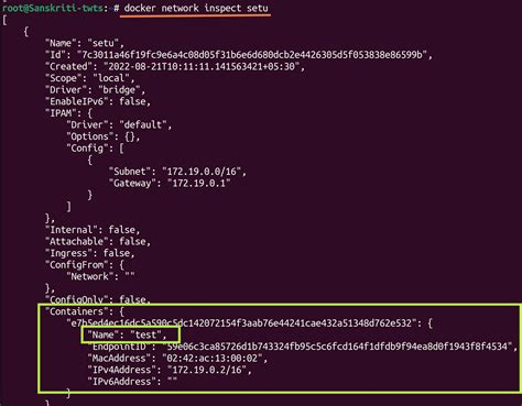 Docker Bridge Network