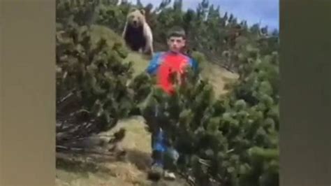 Italy Bear Faces Cull After Attack On Father And Son Bbc News