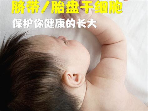 用户海报海尔国际细胞库 站酷zcool