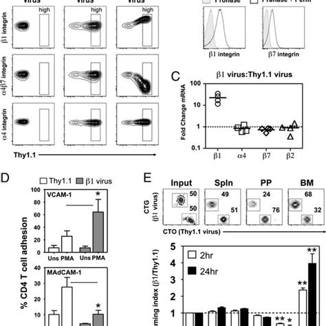 Abundance Of A4 Integrin Controls A4b7 Integrin Expression A Download Scientific Diagram