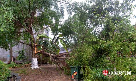 来宾县忻城遭短时雷雨大风 厂房被吹翻 广西县域经济网