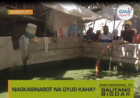 Balitang Bisdak Nasolusyonan