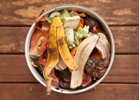 Cómo hacer Compost en casa guía para principiantes Eco Jardín Mágico