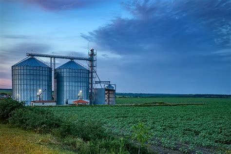 Evening Report January 6 2025 Pro Farmer