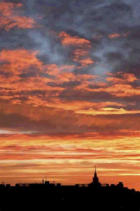 Cloud University Огород Садоводство Озеленение