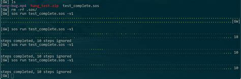 Inconsistent Summary Information Between Reruns · Issue 1062 · Vatlabsos · Github