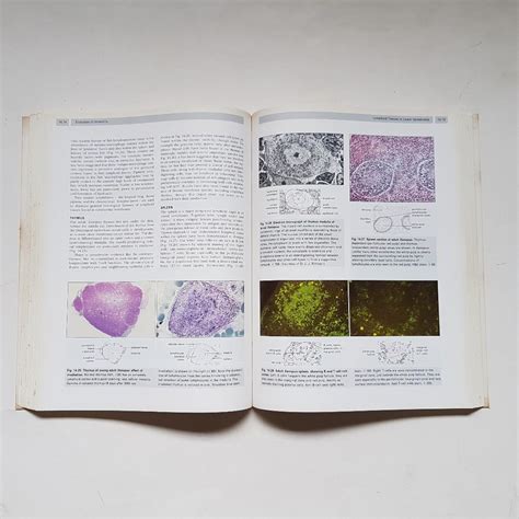 IMMUNOLOGY, Hobbies & Toys, Books & Magazines, Textbooks on Carousell