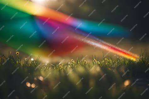 Premium Ai Image A Rainbow In The Grass With A Rainbow In The Background