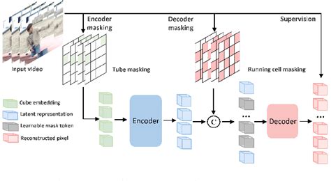 videomae v2 scaling video masked autoencoders with dual masking paper