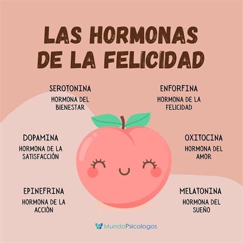 En Instagram ¿cuáles Son Las Principales Hormonas