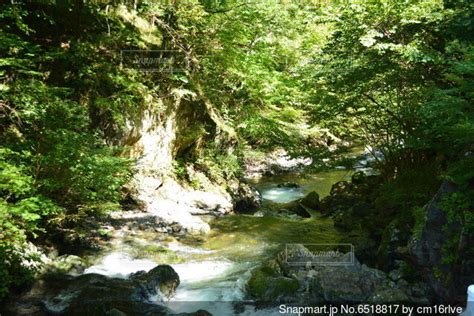 夏の予感と涼しい空気の写真・画像素材 Snapmart（スナップマート）