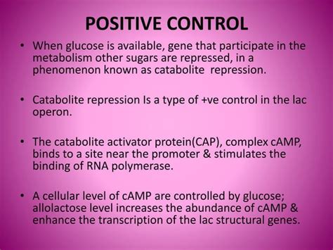 The Lac Operon PPTX