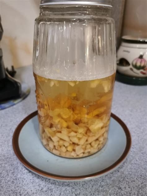 Ginger Bug Attempt Rfermentation