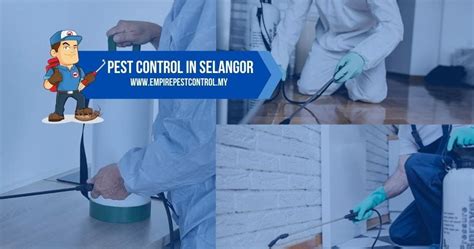 Pest Control Selangor 1 Service And Best Price 5⭐️rated