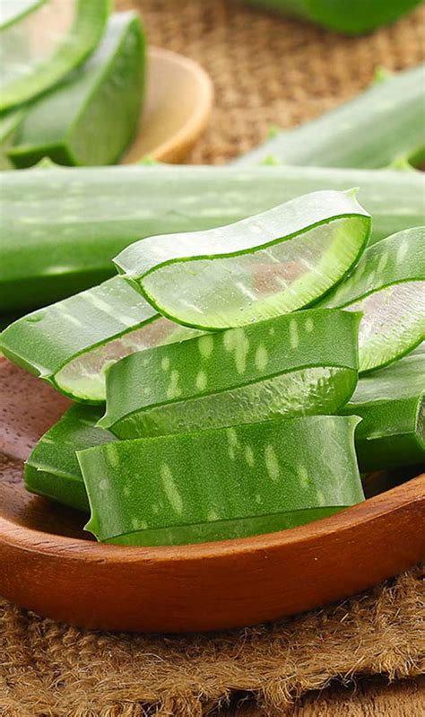 एलोवेरा के सेवन से क्या लाभ होगा जानिए Aloe Vera के जबरदस्त Benefits
