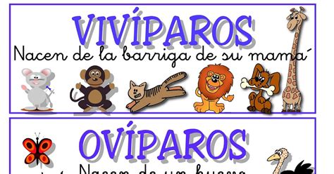 El Blog De Los Pitualandalus Tema 1 Conocimiento Del Medio La