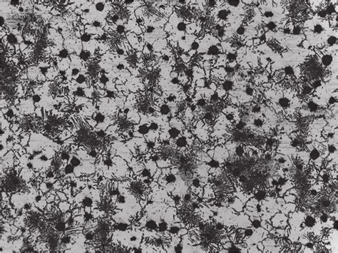 Microstructure After The Austempering From The Partial Austenitization