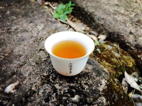 岩茶的香為什麼這麼「變化多端」？ 每日頭條