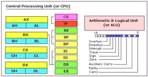 Assembly Language Assembly Guidebook