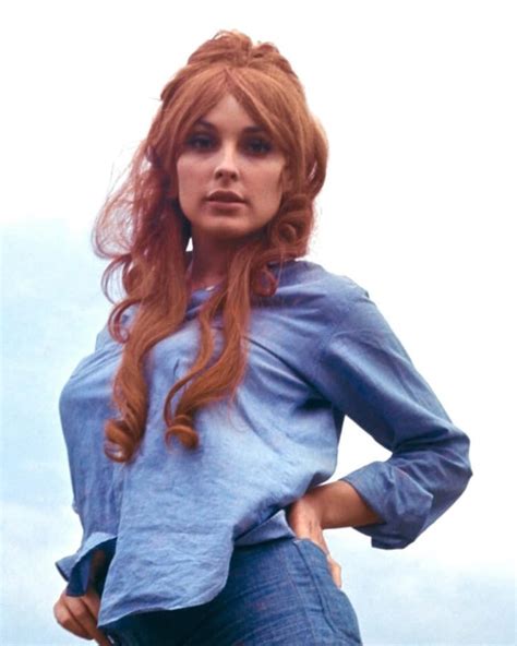 Sharon Marie Tate Sharon Tate On The Set Of The Fearless Vampire