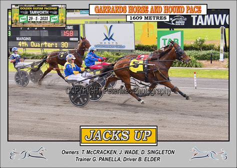 Tamworth Harness Racing Tamworth Harness Racing Club