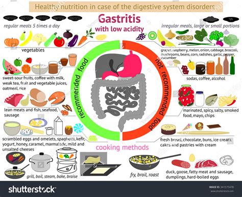 Top 10 Facts Digestive System Facts Function Diseases