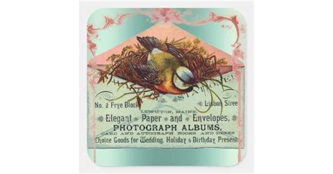 Vintage Nesting Bird Sticker Zazzle