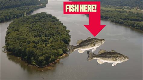 5 Tips To Catch More Bass Youtube