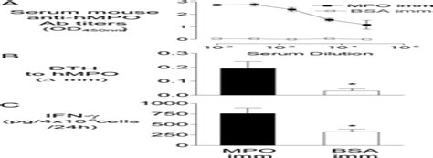 Anti Neutrophil Cytoplasmic Antibodies And Effector Cd4 Cel
