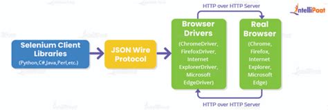Selenium Architecture Its 4 Major Components