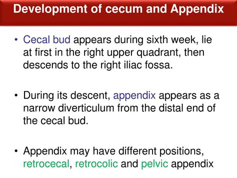 Ppt Development Of Midgut Powerpoint Presentation Free Download Id