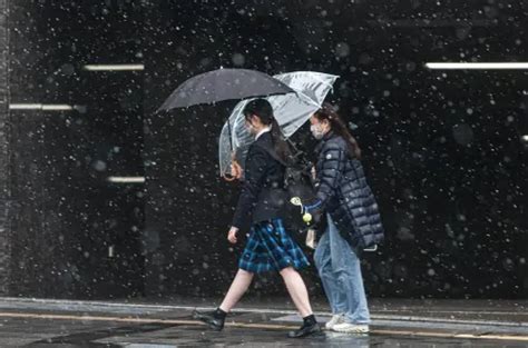 日本天氣小心！東京氣溫4度「大雪警報」 4地區積雪恐破25公分 生活 Nownews今日新聞