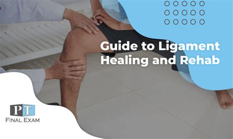 Guide To Ligament Healing And Rehab PT Final Exam