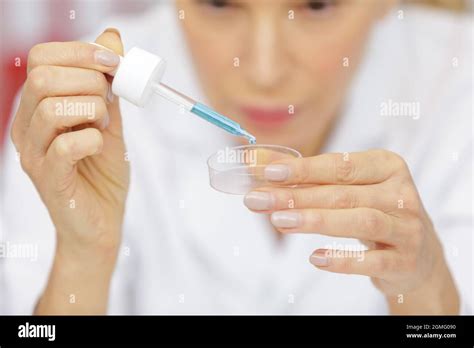 Senior Woman Working With Pipettes In A Lab Stock Photo Alamy