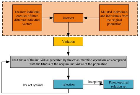 Design Of Information Management Model Based On Multiobjective Optimization Algorithm In