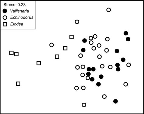 non metric multidimensional scaling mds plot representing
