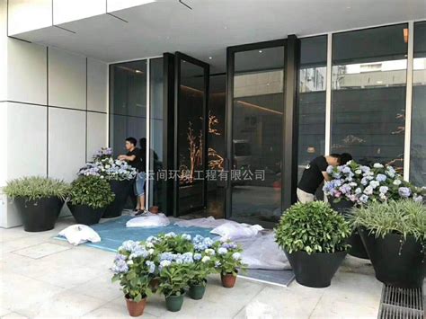 立体绿化西安城市绿化西安墙体绿化西安立体绿化西安景观设计首页