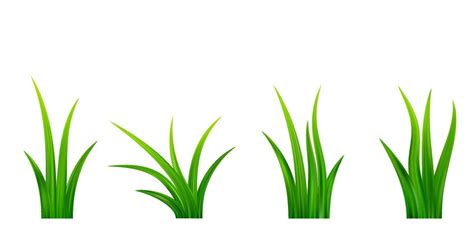 Green Grass Meadow Border 36141832 Vector Art At Vecteezy