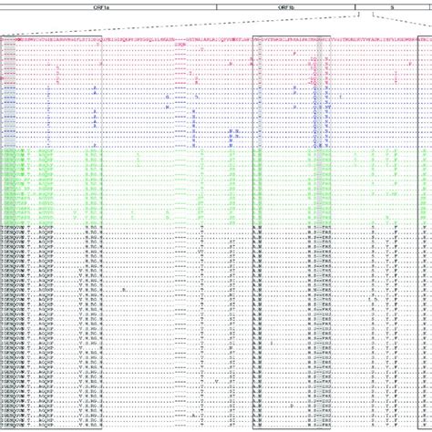 Schematic Representations Of Pedv Genome Organization And Virion Download Scientific Diagram
