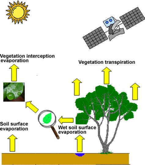 Remote Sensing January 2014 Browse Articles