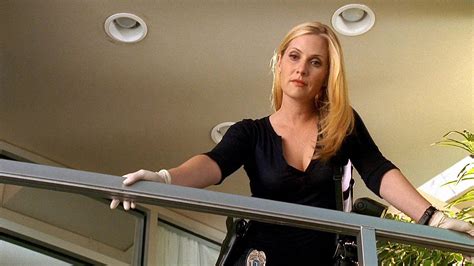 Csi Miami Calleigh Duquesne 2 By Newyunggun On Deviantart