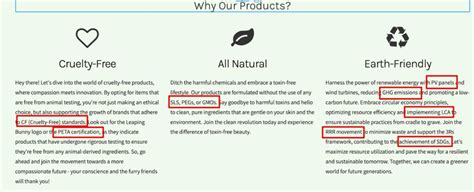 Ecommerce Website Accessibility How To Build A Better Store