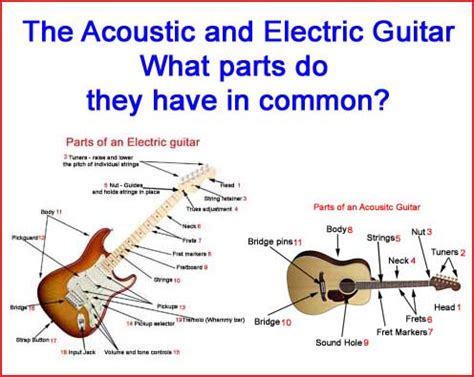 Parts Of A Guitar Guitar Diagrams