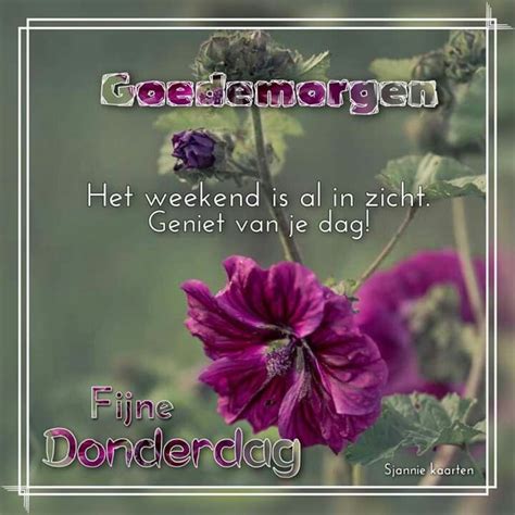 Pin Van Despeghel An Op Good Morning Goedemorgen Goedemorgen