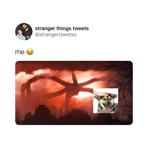 Instagram Post By Stranger Things Tweets • Dec 17 2017 At 1149pm Utc